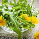 pitypang_tea_mioma.hu | Mióma.hu